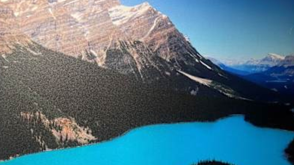 Michael Weitzman from Arts & Health at Duke | Artwork Archive