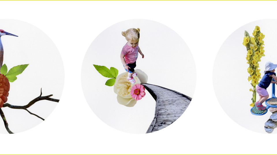 The Quiet Strength of Nature by Anne Mondro from Voices Art Gallery – U ...