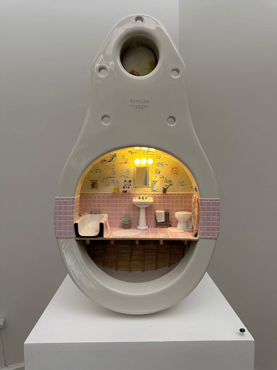 Toilet (Shared Spaces) by Joanne Steinhardt | Artwork Archive