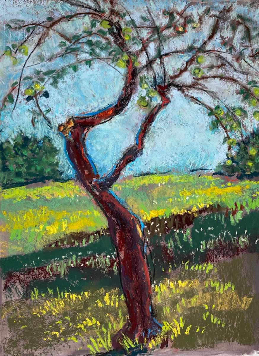Apple Tree from the collection of Maryland Pastel Society | Artwork Archive