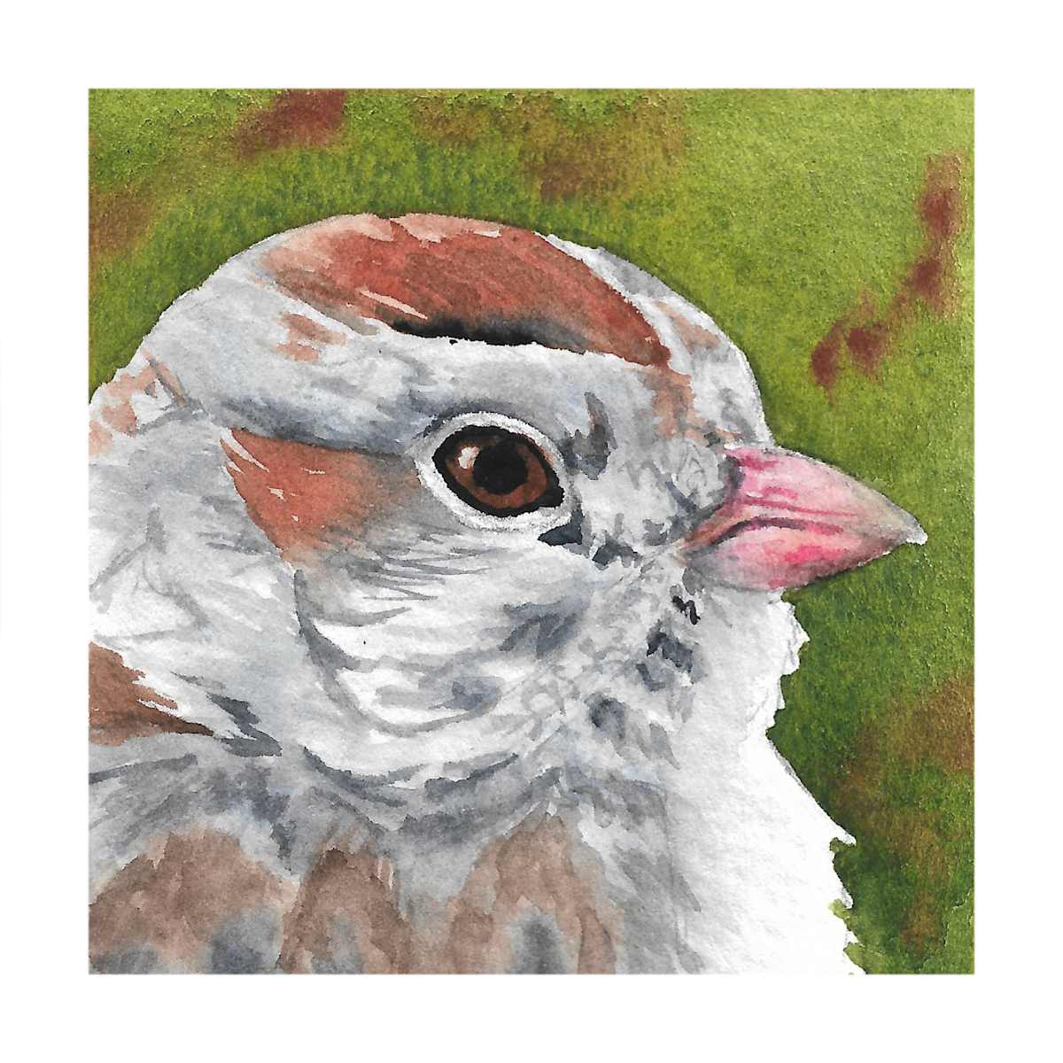 Field Sparrow - Oct 29, 2025 by Stacy Hilton Klutzke | Artwork Archive