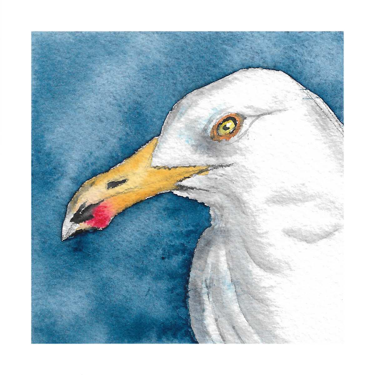 Herring Gull - Oct 16, 2025 by Stacy Hilton Klutzke | Artwork Archive