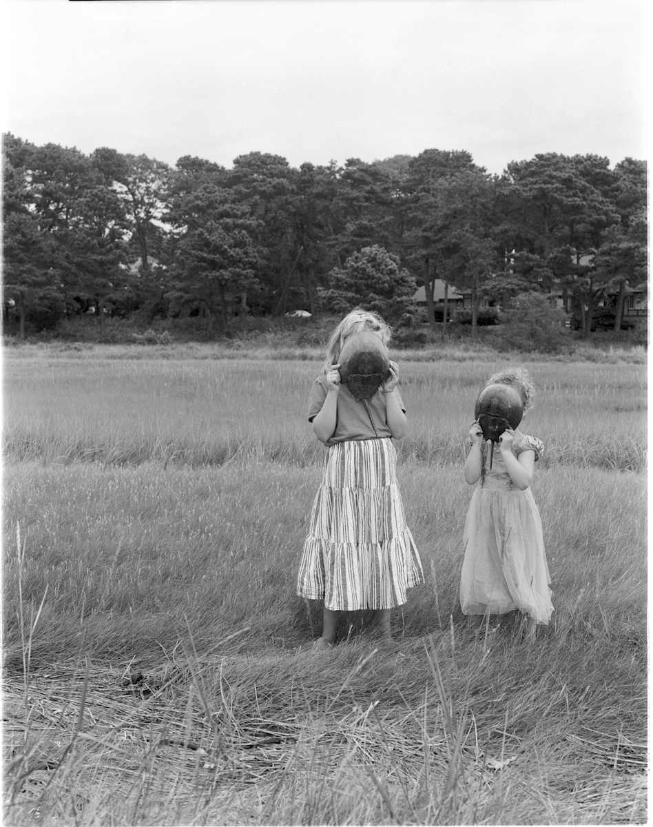 Horseshoe Crabs from the exhibition The Process: A Beacon Photo Club ...