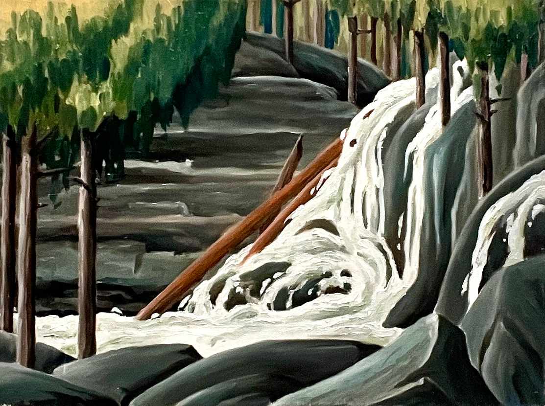 Algonquin Rapids by Chris James Cooper | Artwork Archive