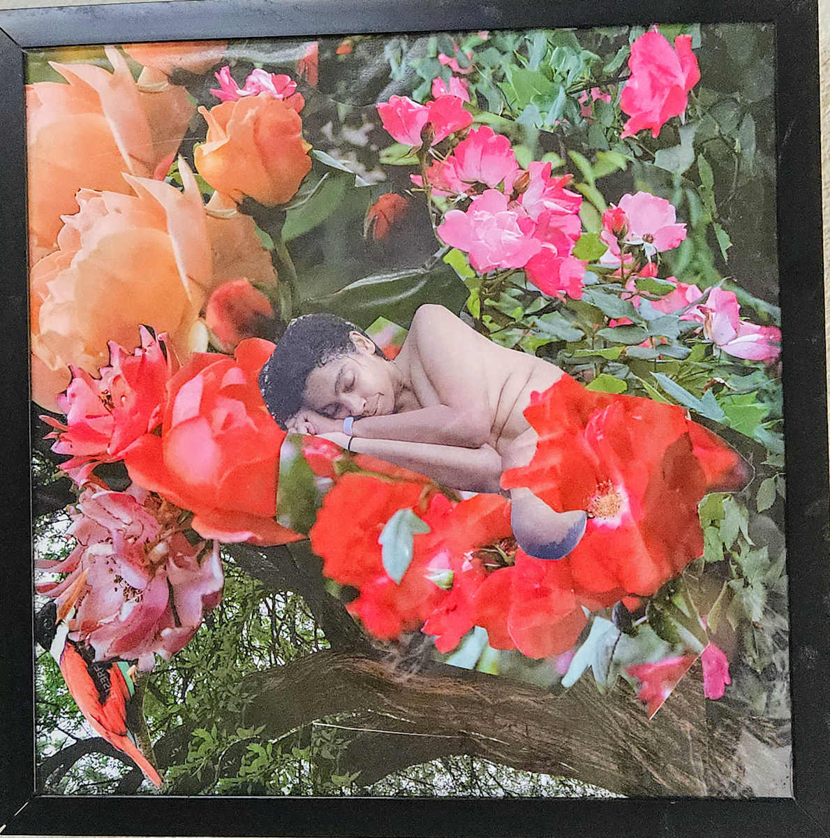 A Black and Palestinian Flower Grows in Harlem from the collection of ...