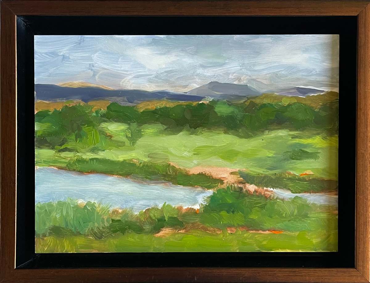 The Northern Edge of Quanah Parker Lake from the collection of 1515 ...