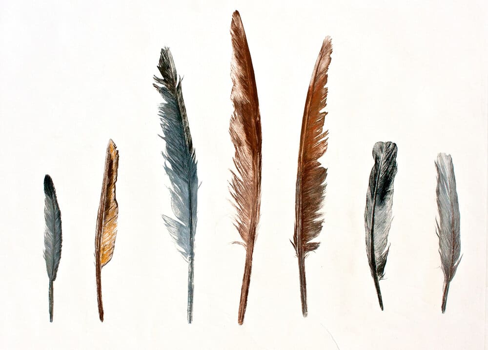 Crown of Feathers Series #2 by Sharon Whitham | Artwork Archive