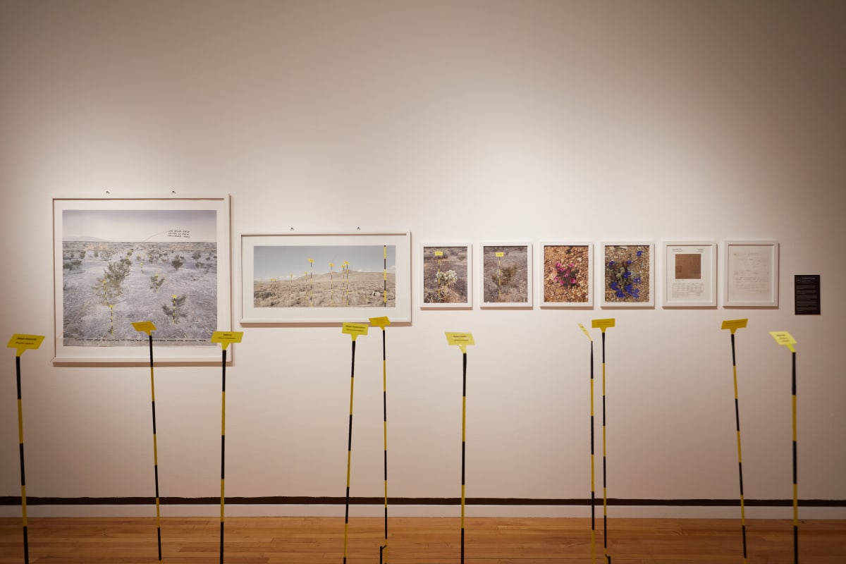 Las Vegas Piece Piece from the exhibition Modern Desert Markings: An ...