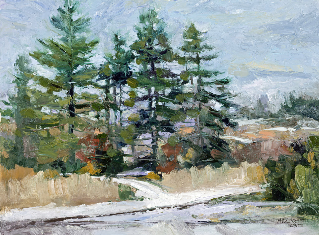 Evergreens, Shaw Nature Reserve, 02/13/2011 by Michael Anderson ...