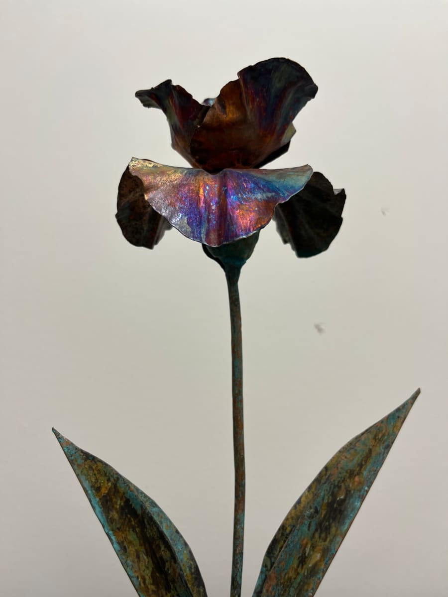 Copper Iris from the collection of The Art Galleries at Austin ...