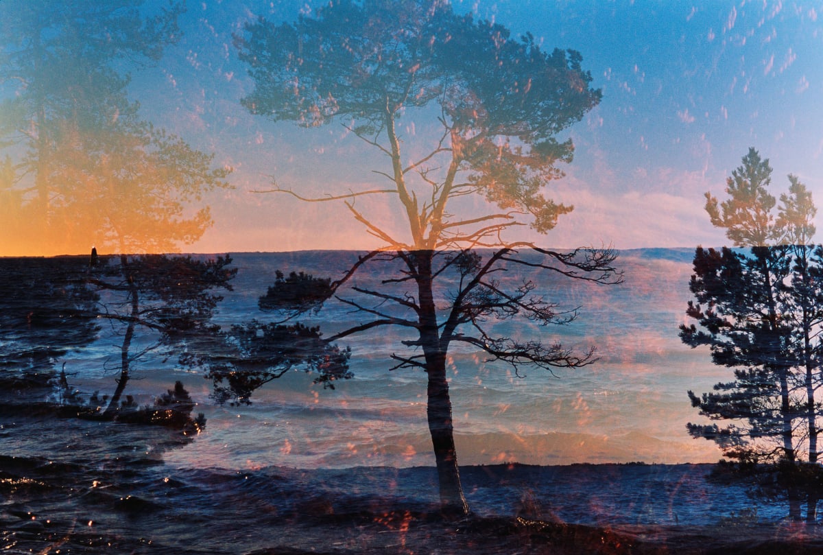 Trinity Trees from the collection of Gitana Rosa Gallery | Artwork Archive