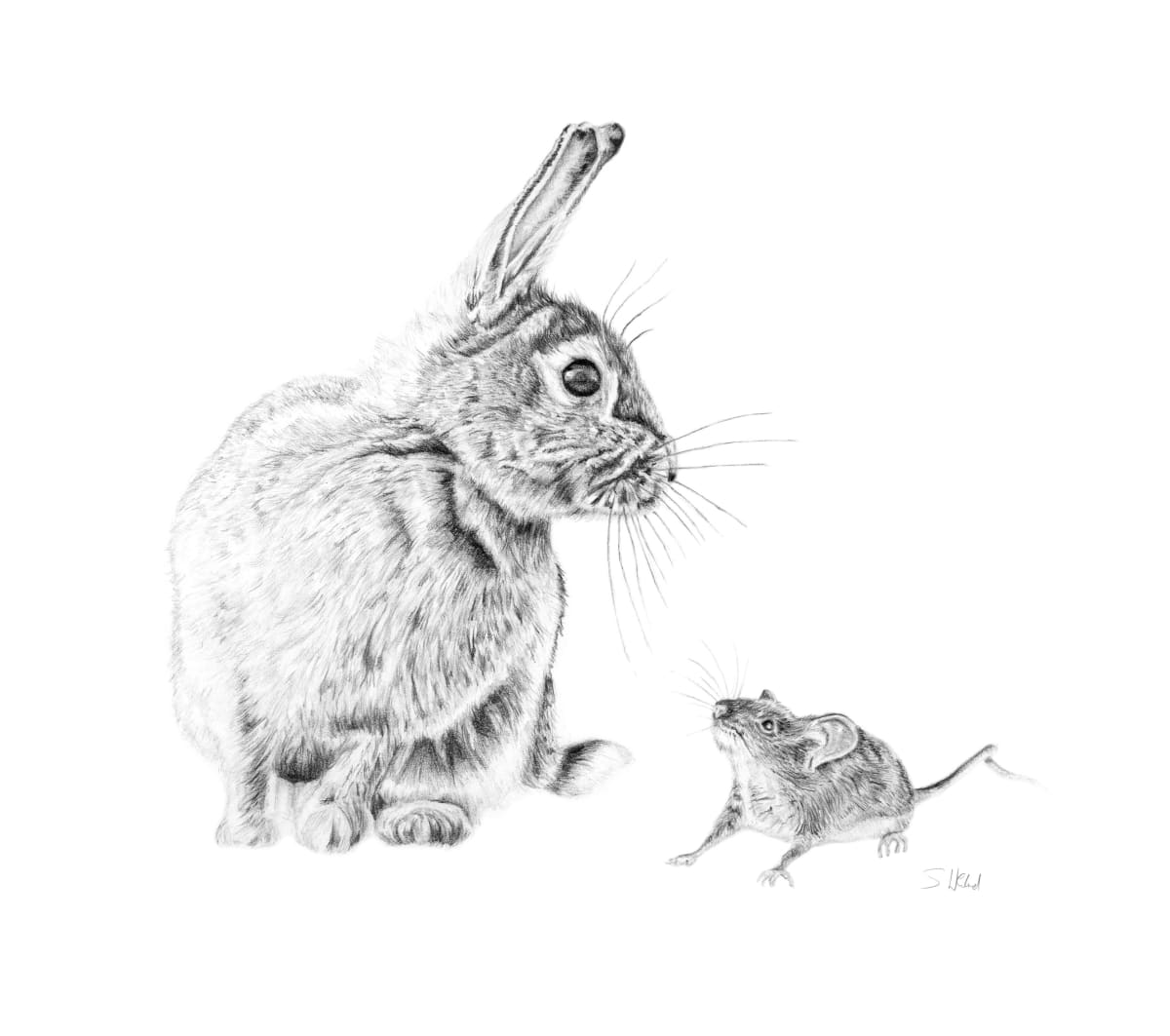 Greenwich Rabbit and Mouse Drawing by Susannah Weiland | Artwork Archive