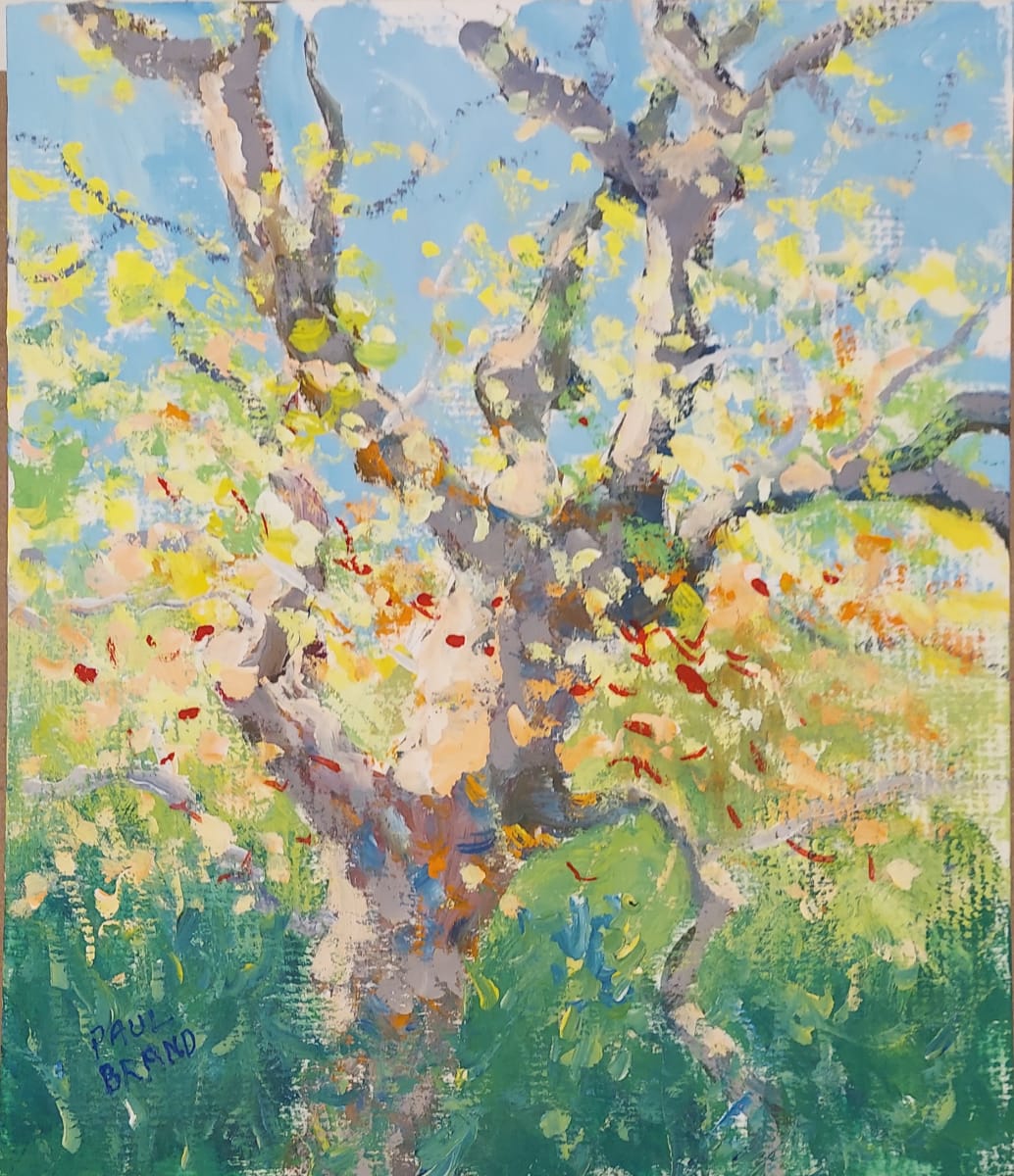 The Dancing Tree by Paul Brand | Artwork Archive