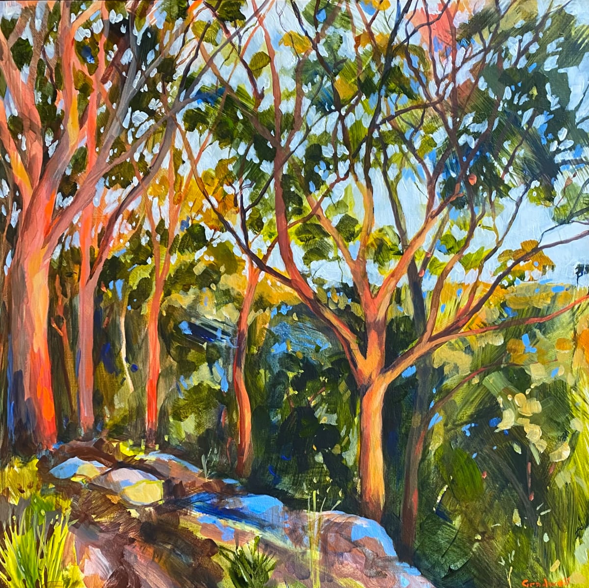 Killarney Bush Study 3 by Kate Gradwell | Artwork Archive