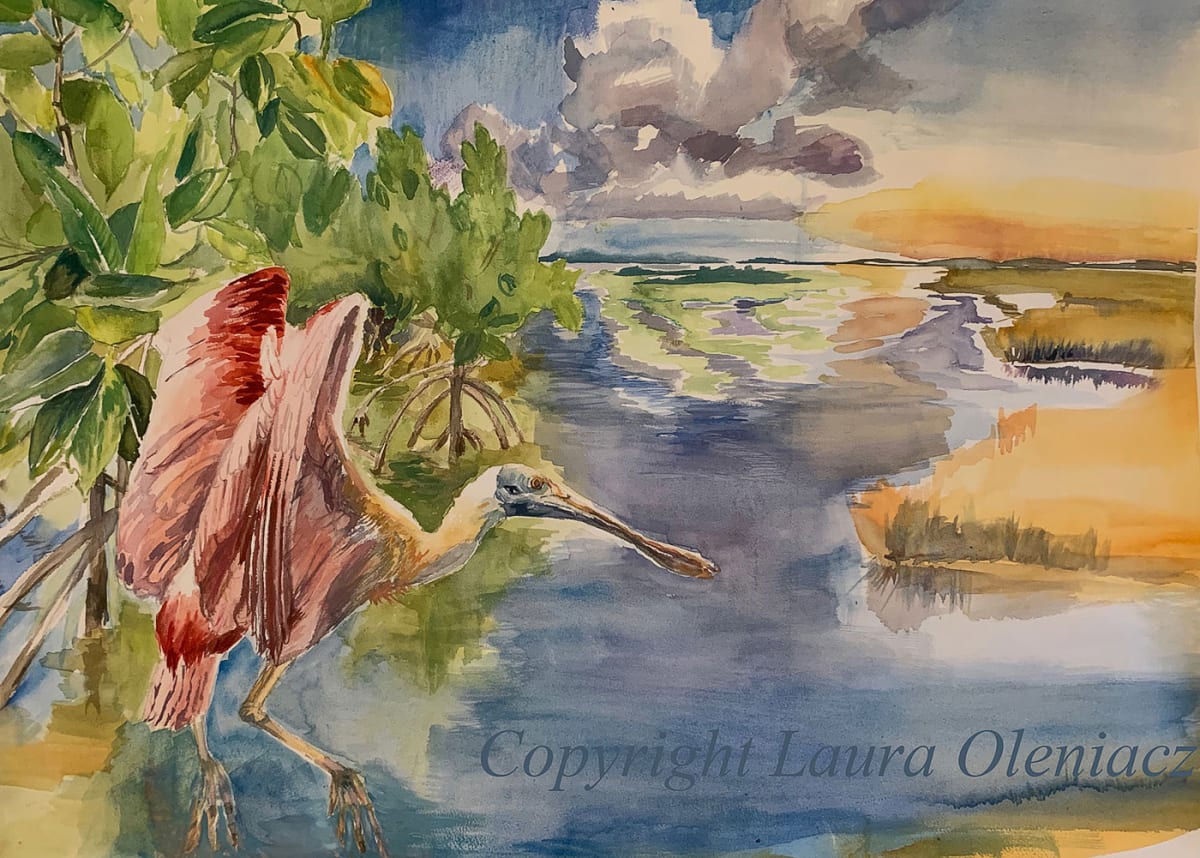 Spoonbill Migration from the collection of Guild of Natural Science ...