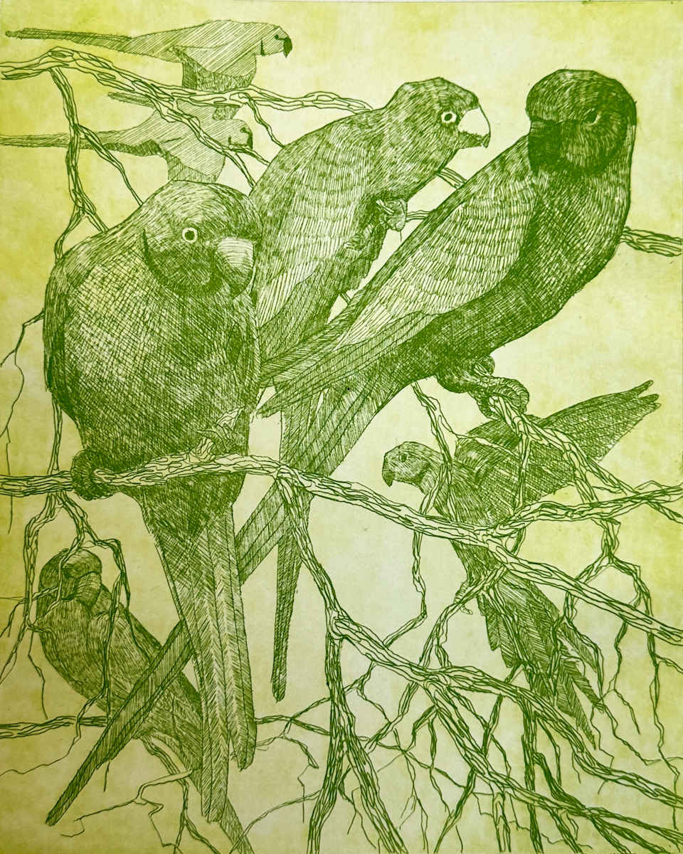 Survival of the fittest by Philine van der Vegte | Artwork Archive
