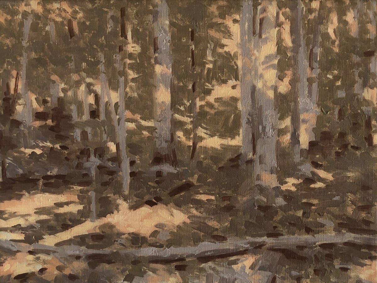 Tree light II by Peter Schaumann | Artwork Archive