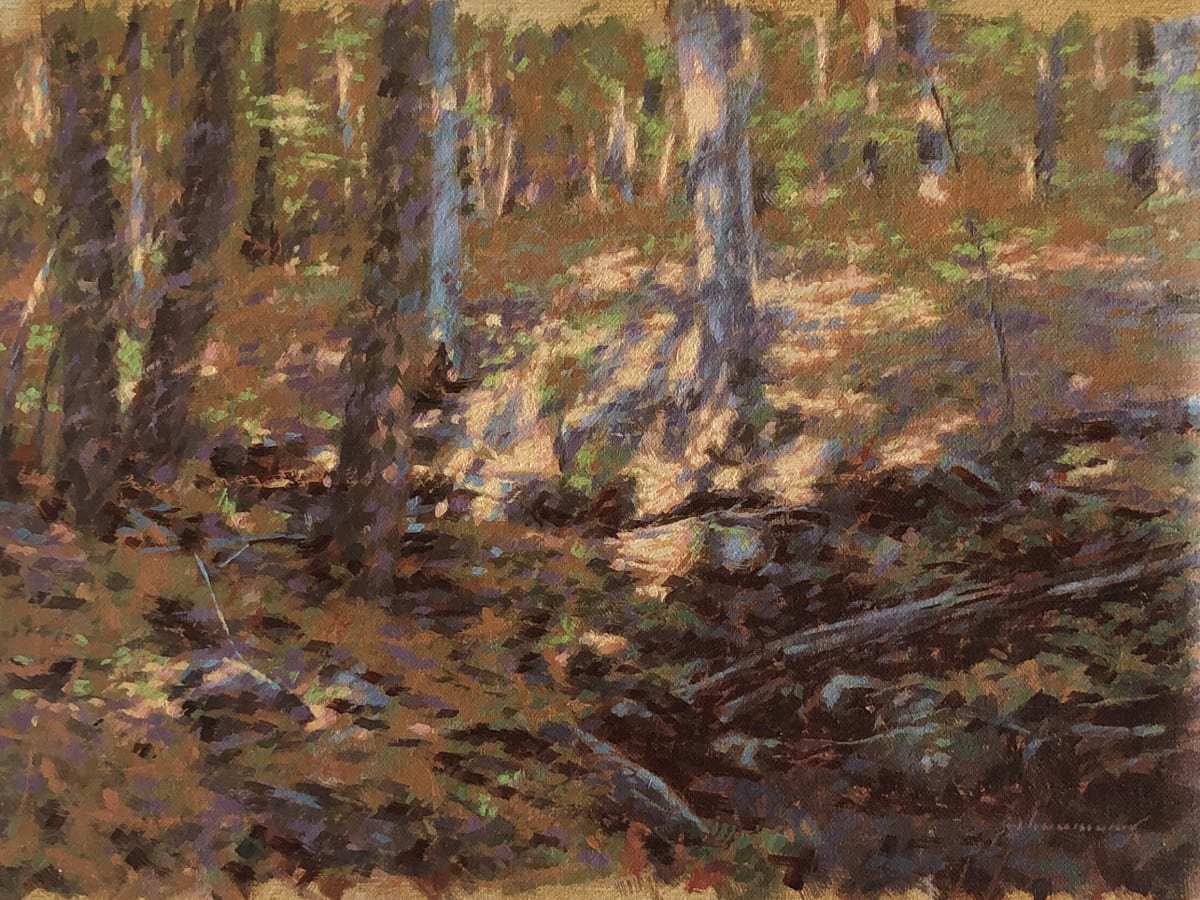 Tree Light I by Peter Schaumann | Artwork Archive