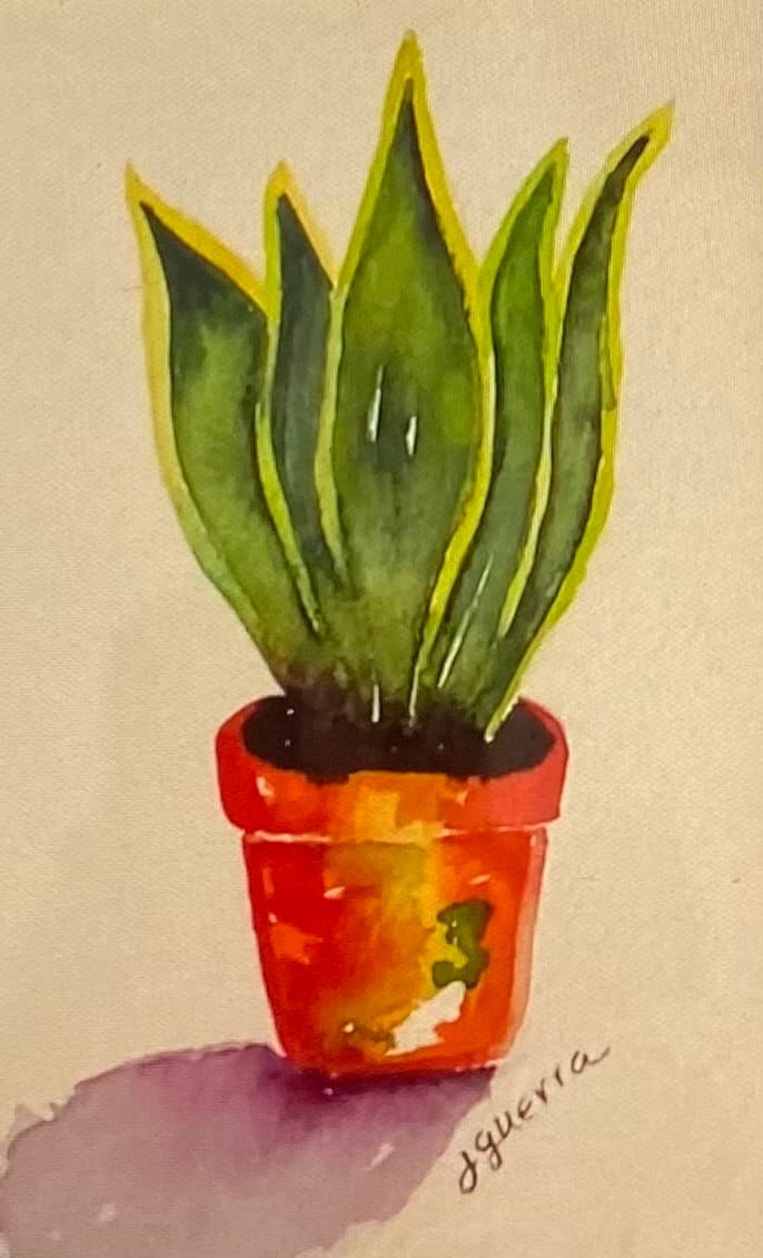 Snake Plant by Jennifer G. Guerra | Artwork Archive