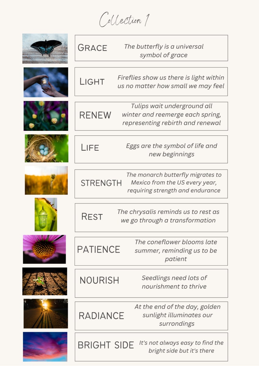 Thrive: Color Photography by Sarah Rypma from Voices Art Gallery – U-M ...