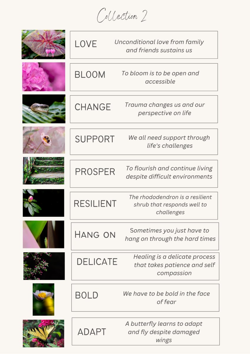 Thrive: Color Photography by Sarah Rypma from Voices Art Gallery – U-M ...