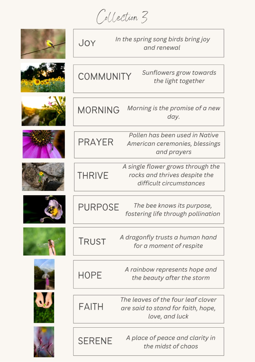 Thrive: Color Photography by Sarah Rypma from Voices Art Gallery – U-M ...