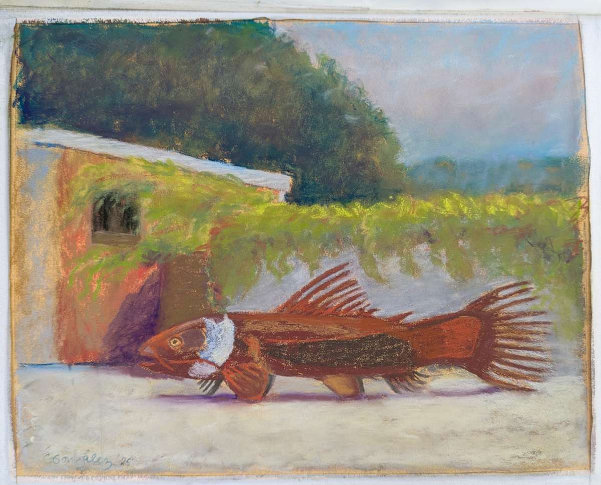The Iron Fish by Cynthia Gonzalez | Artwork Archive