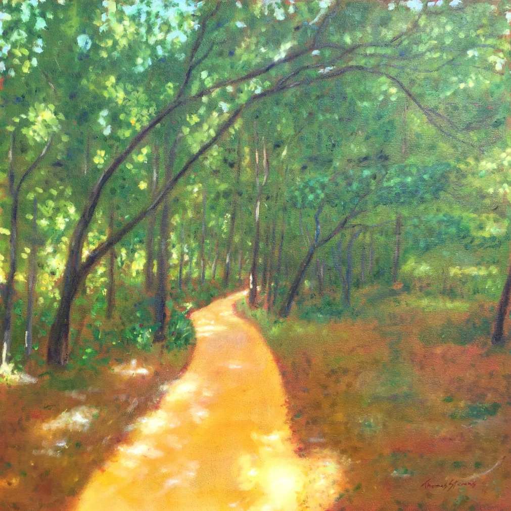 Oxbow Trail Warm 36.070714N 79.089386W from the collection of Thomas Stevens Gallery | Artwork ...