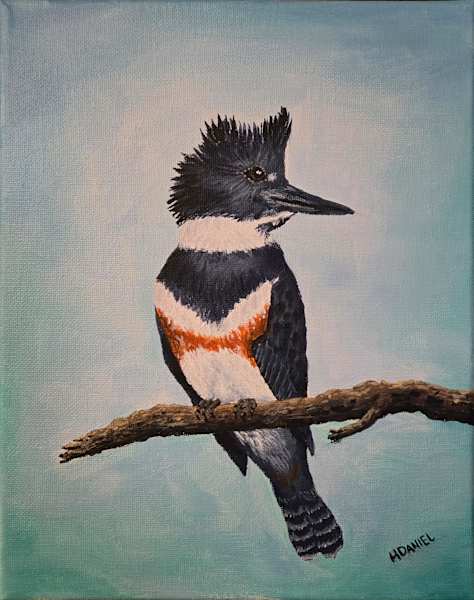 Collection Paintings of Birds from Hugh Daniel | Artwork Archive