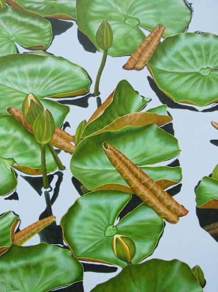 Water Lilies #48 from the collection of The Zebra Gallery | Artwork Archive