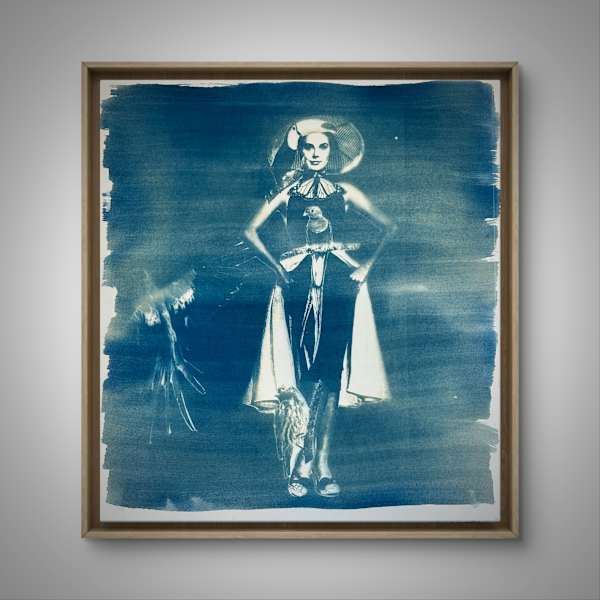 Beauty in Flight by Laura Gatto | Artwork Archive