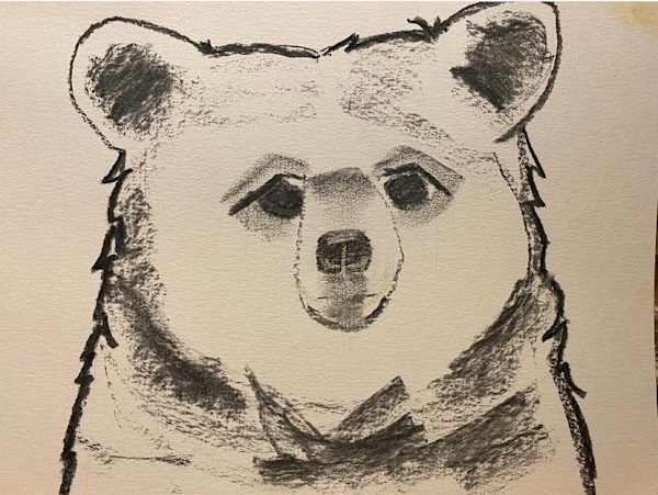 Kava Bear by Sarah Wold | Artwork Archive