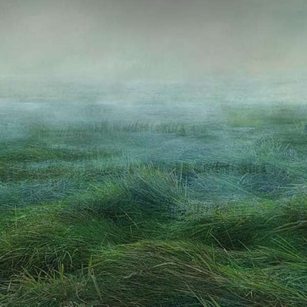 "Seagrass Landscape" by Jessica Wascak | Artwork Archive