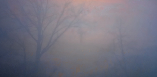 "Shroud" by Jessica Wascak | Artwork Archive