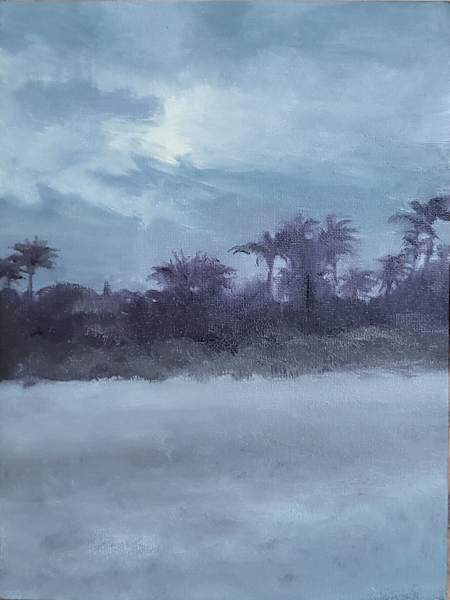 Early Morning on the Beach in Florida by Sam Larson | Artwork Archive