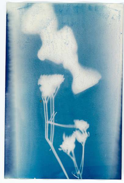 History In the Making by Sarah Mason | Artwork Archive