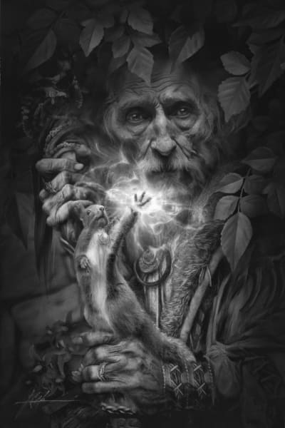 THE SHADOW DRUID AND NIGHTSHADE from the collection of Erica Berkowitz ...