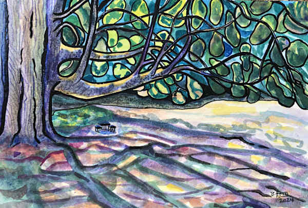 Old Growth Maple San Juan Island, WA by Betsy Horn | Artwork Archive