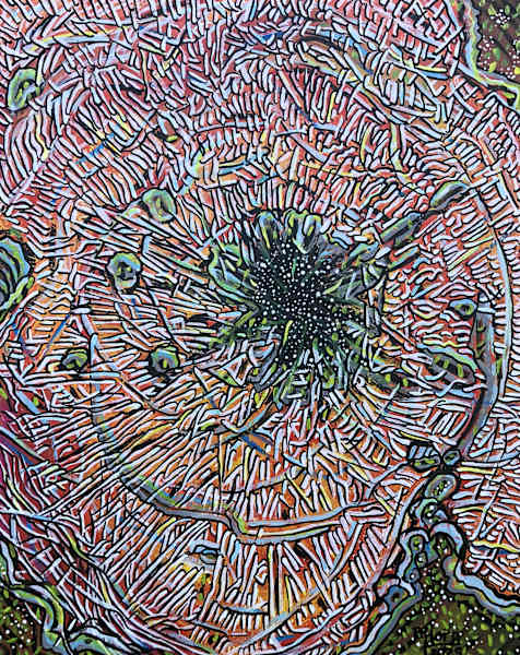 Shredded (Cottonwood stump) by Betsy Horn | Artwork Archive