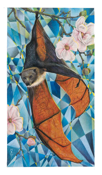 Universal Self Expression (Flying Fox) by Michael T. Gardner | Artwork ...