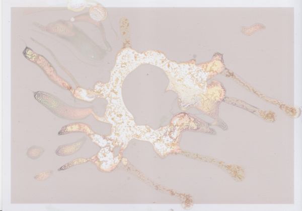 Deep Surface Series by Traci Kelly | Artwork Archive