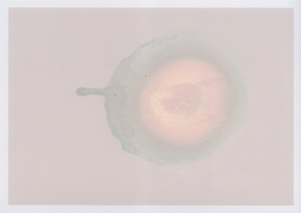 Deep Surface Series by Traci Kelly | Artwork Archive