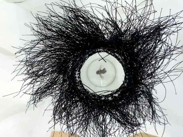 Séance by Traci Kelly | Artwork Archive