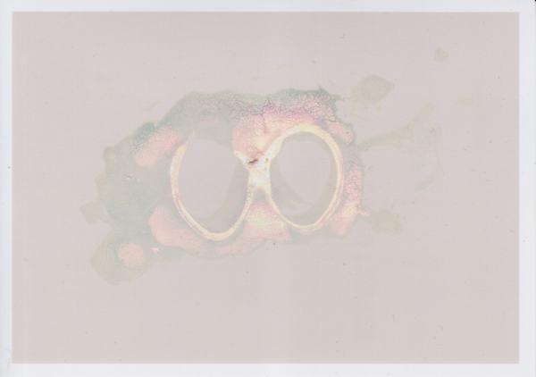 Deep Surface Series by Traci Kelly | Artwork Archive