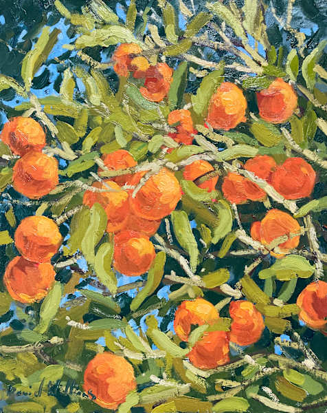 Arance di Firenze by David A. Williams | Artwork Archive