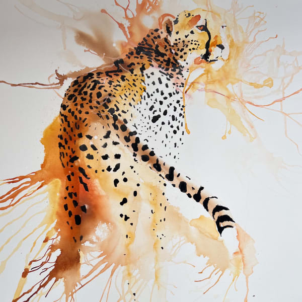 Cheetah at first light by Louise Luton | Artwork Archive