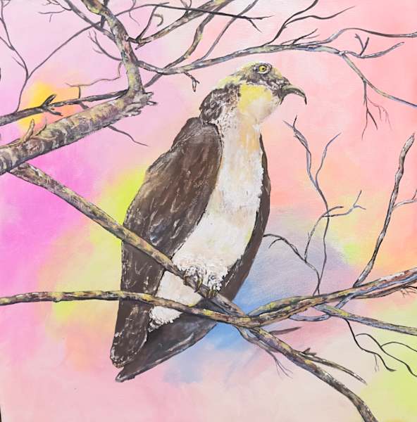 Osprey At Sister's Creek by Lora Wood | Artwork Archive