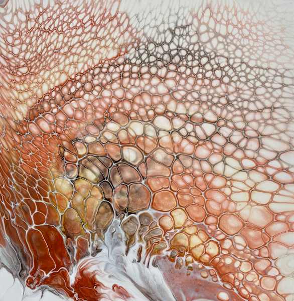 Andromeda’s Veil by Martin Relton | Artwork Archive