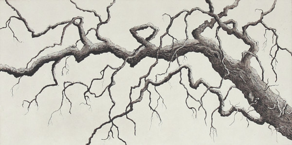 twisted branch by stephanie Jane Rampton | Artwork Archive
