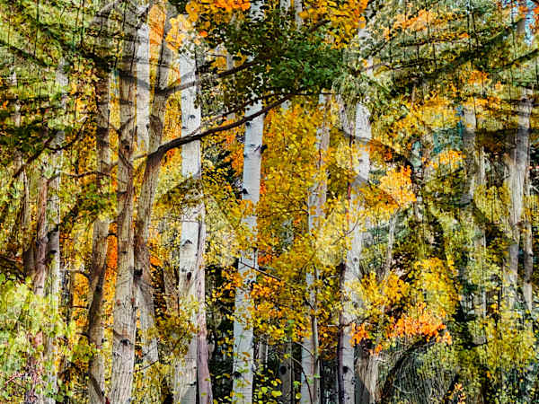 Spirits of the Fall by Michael Hefferon | Artwork Archive